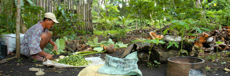 Junior Professional Officer Programme - Nedworc Foundation